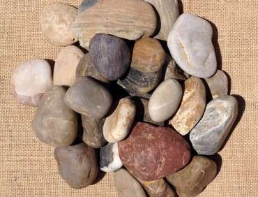 Products | Down to Earth Garden Supplies